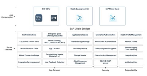 Enhancing SAP Mobility | The Silicon Partners
